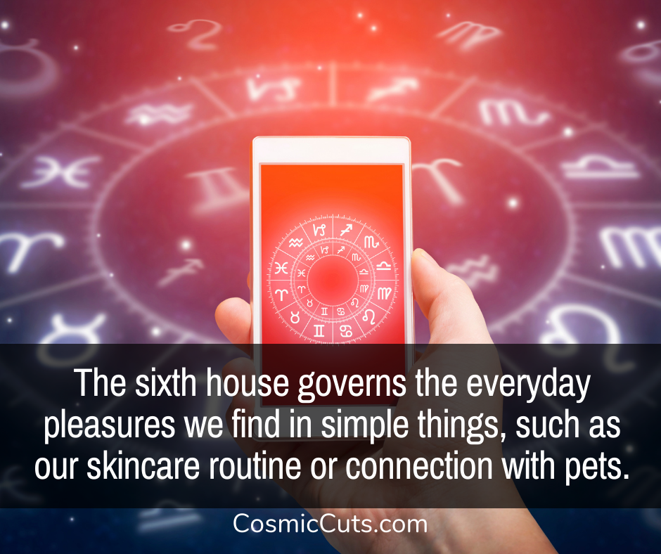 Sixth House In Astrology Your Guide To Health Routines And Acts Of Ser