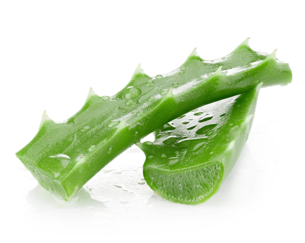 Aloe Vera For Hemorrhoids Does Aloe Vera Really Work For Hemorrhoids