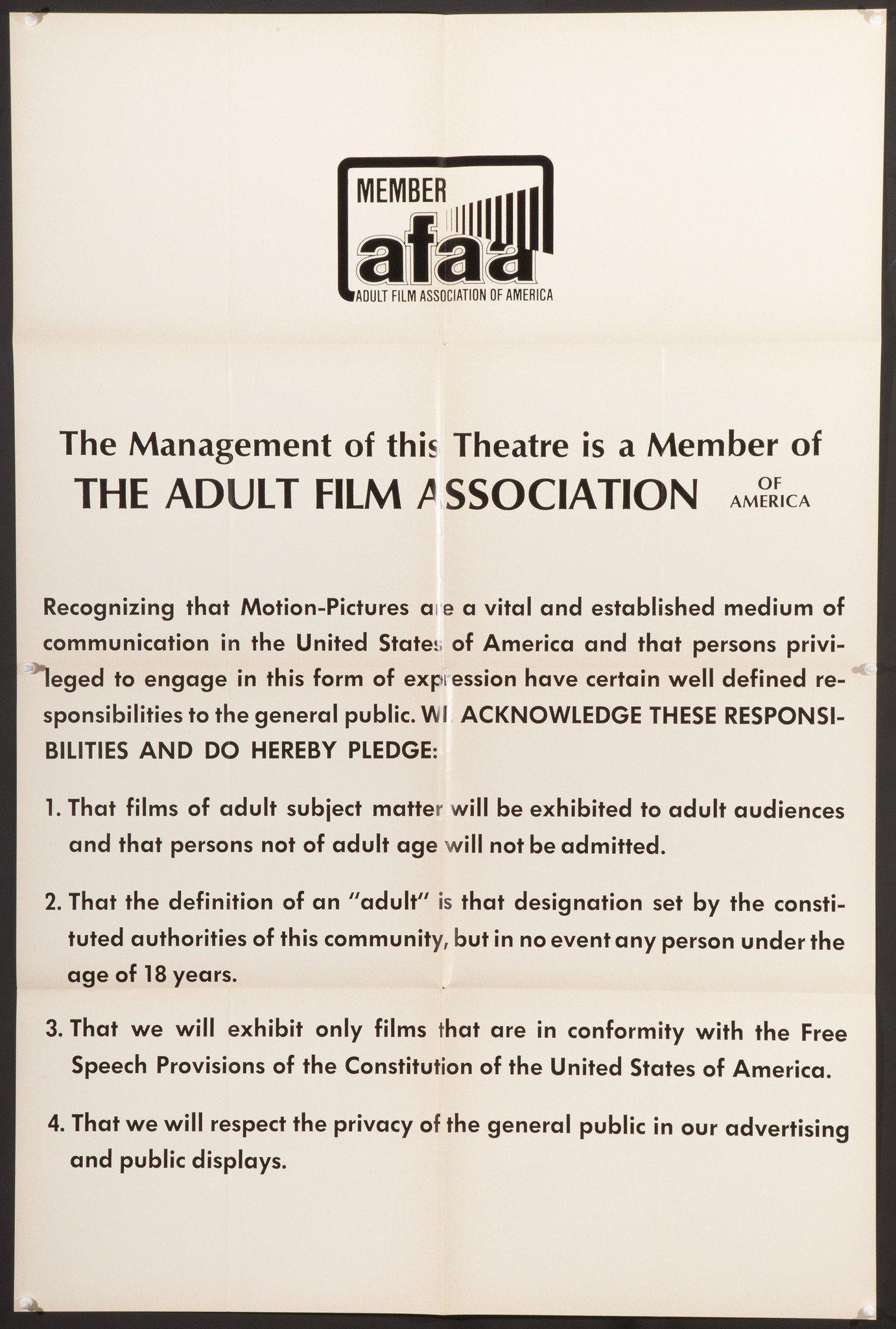 The Adult Film Association Vintage Movie Poster