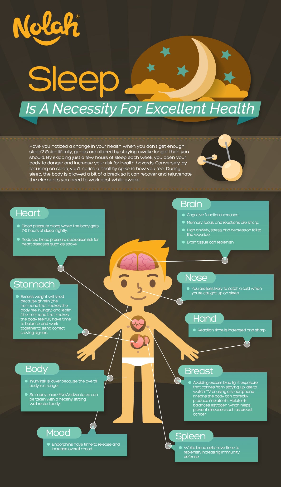 Sleep Health Infographic