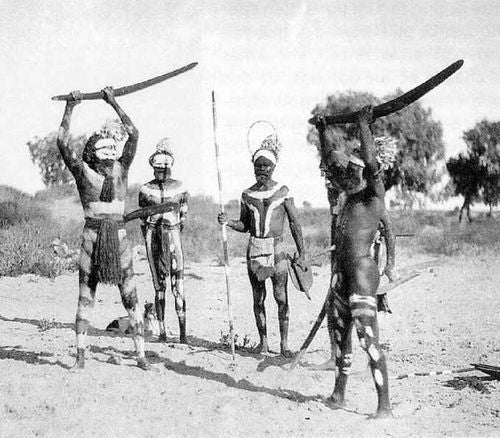 La Historia Del Boomerang Wallaby Boomerangs