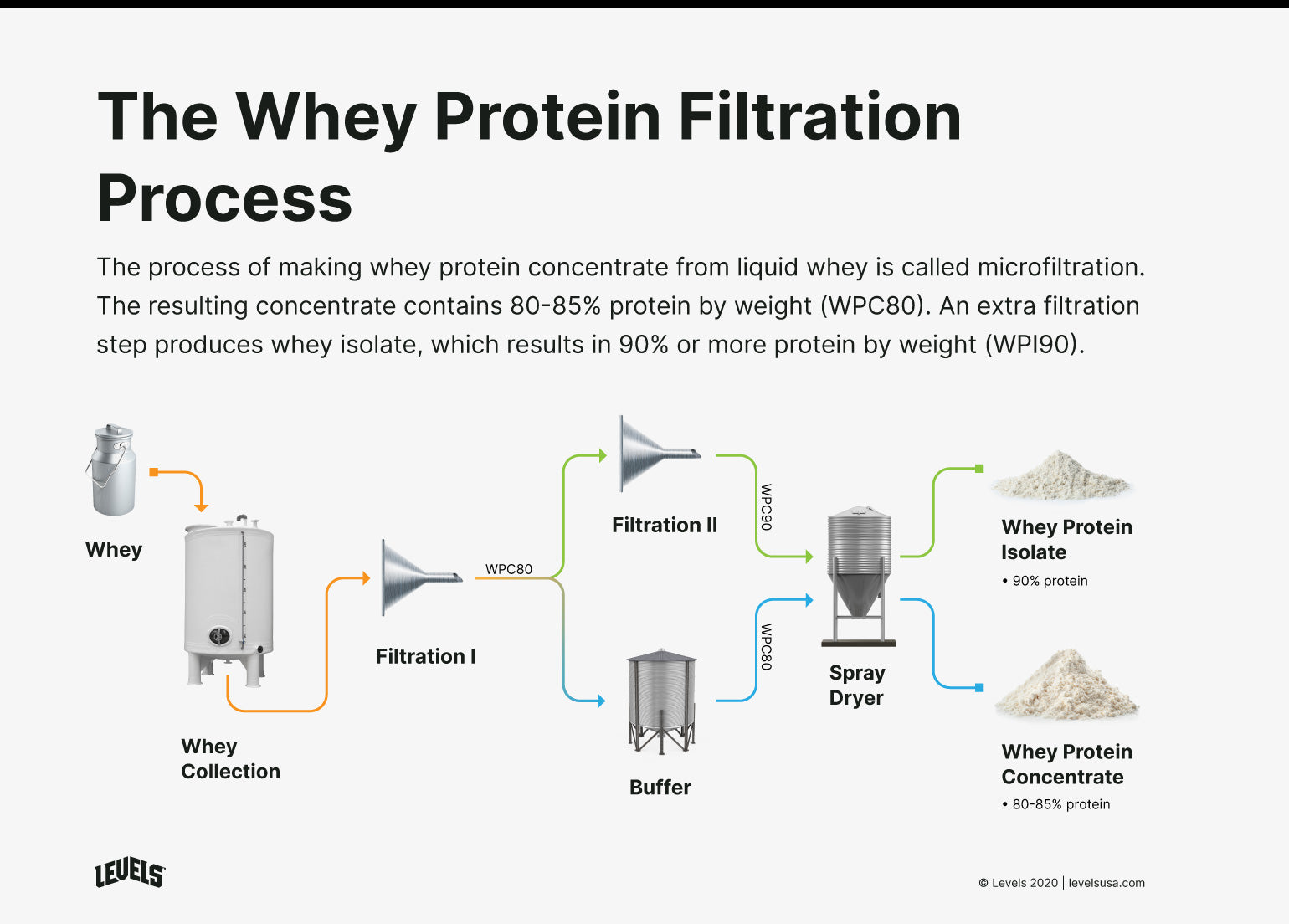 Whey Protein Isolate Vs Concentrate Everything You Need To Know Levels