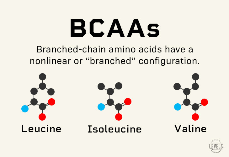 When To Take Bcaas What Science Says Plus 5 Fitness And Health