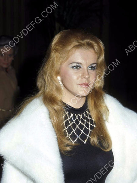 Ann Margret Beautiful In White Fur 8b20 13404 Abcdvdvideo