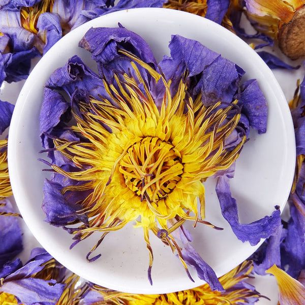 Buy Blue Lotus Flower Online Tea Life Australia Tea Life