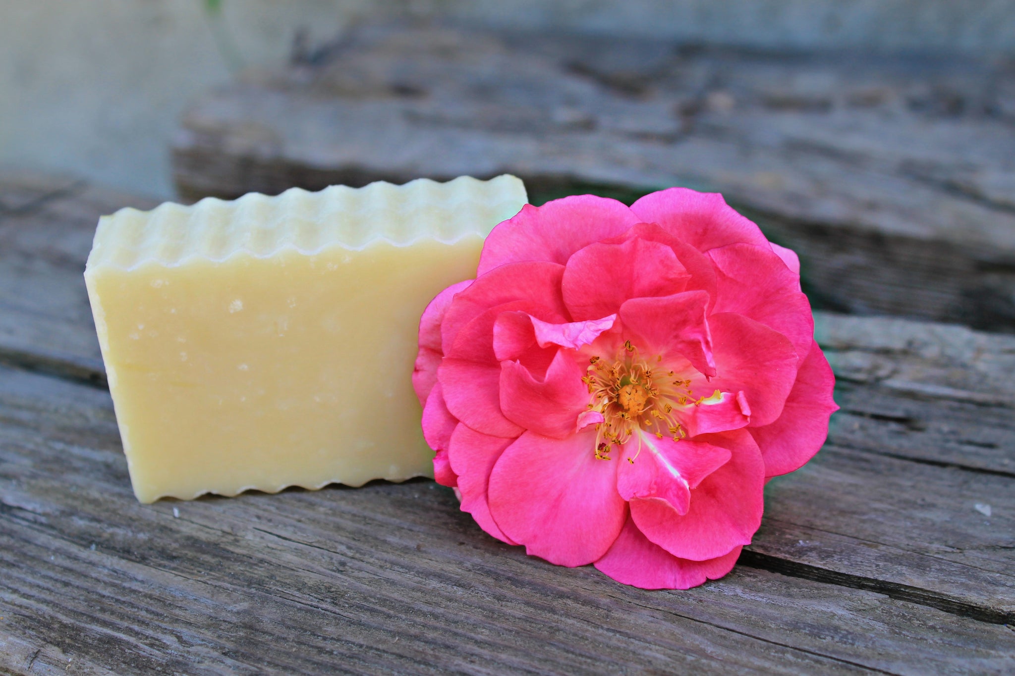 Garden Path Homemade Soap All Natural Bath And Body Products