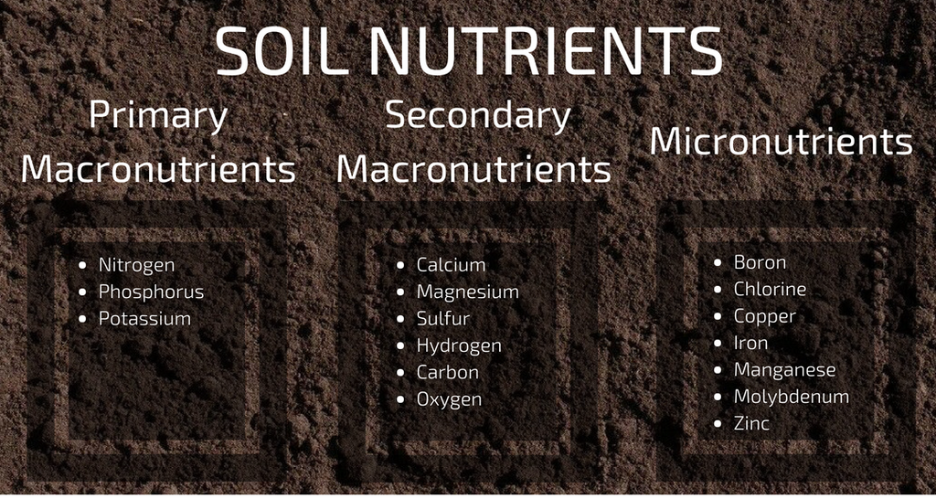 The Ultimate Guide To Soil Properties Simplelab Tap Score