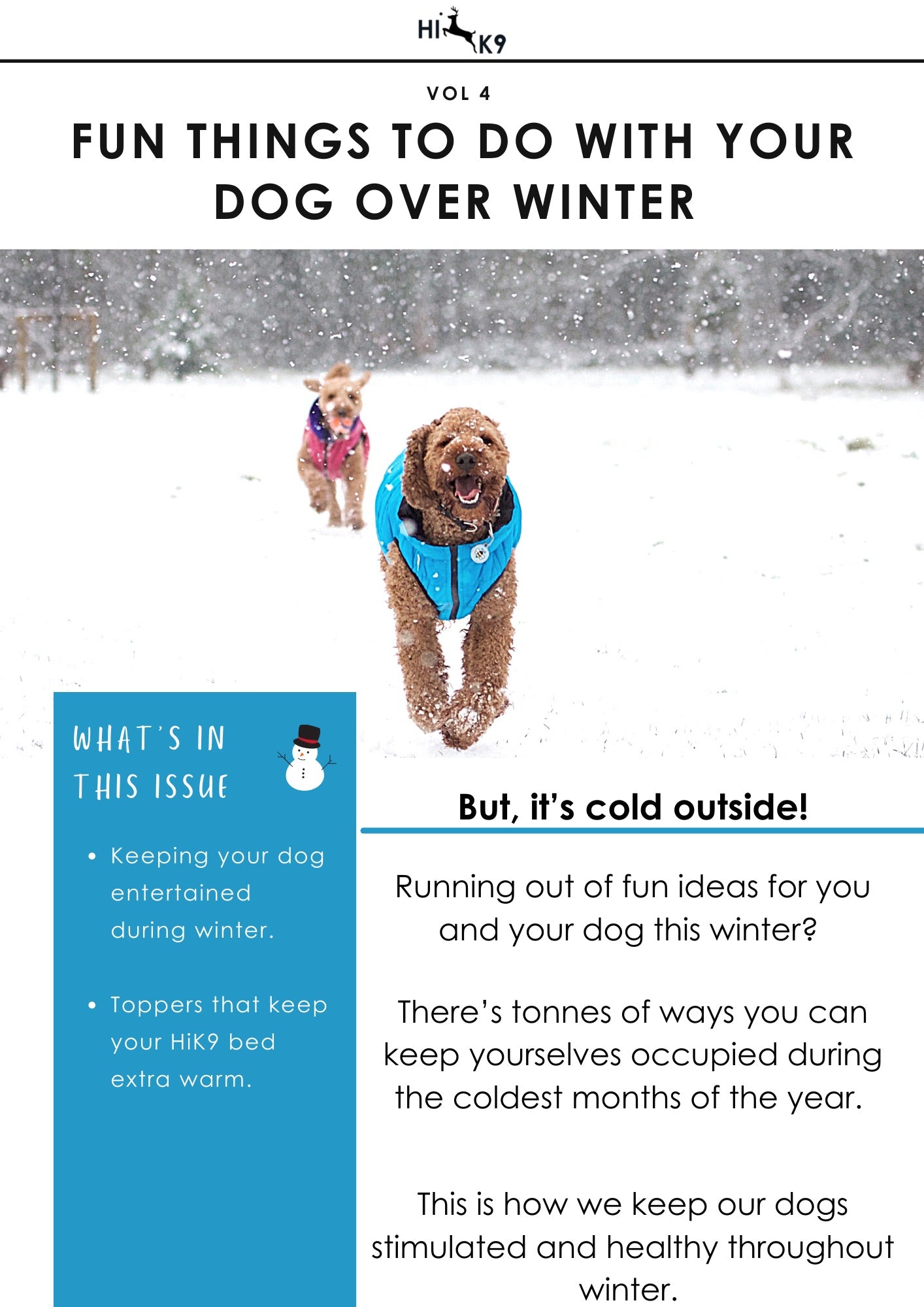 Fun Things To Do With Your Dog During Winter Hik9