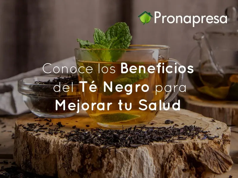 Conoce Los Beneficios Del Té Negro Para Mejorar Tu Salud Pronapresa