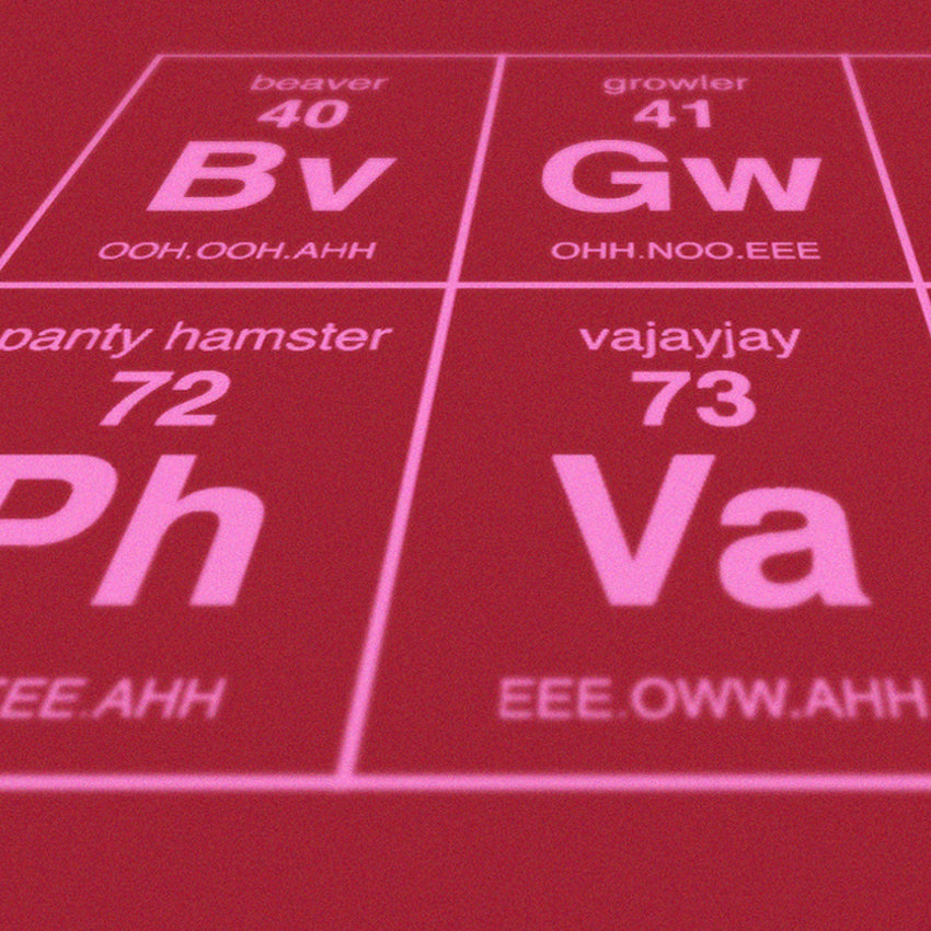 Periodic Table Of Sexual Terminology Screen Print