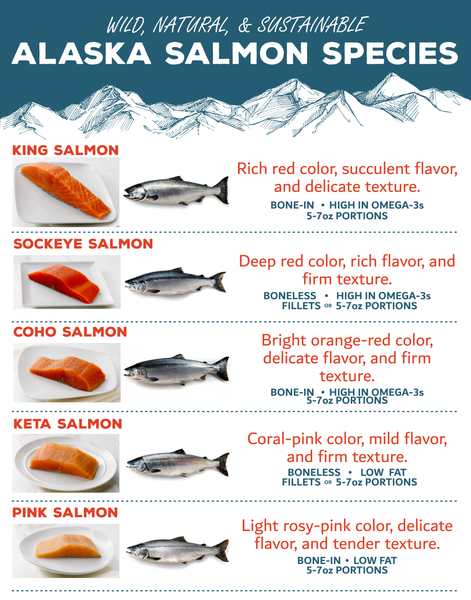 The Five Wild Alaskan Salmon Species Wild For Salmon