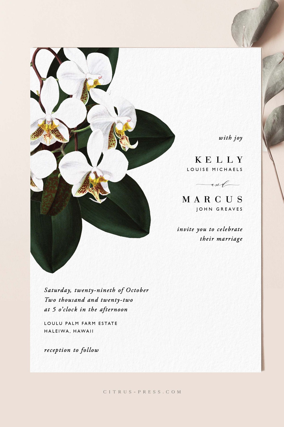 Orchid Destination Wedding Invitation Citrus Press