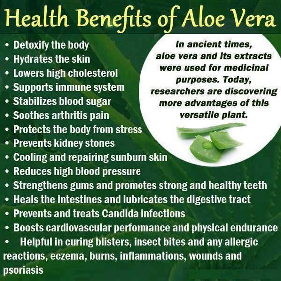 Health Benefits Of Aloe Vera Ttn Palawan