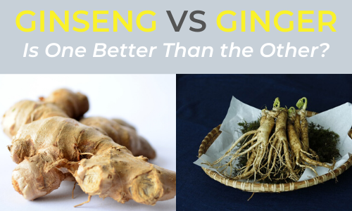 Ginseng Vs Ginger Differences Uses Benefits And More Khroma Herbal