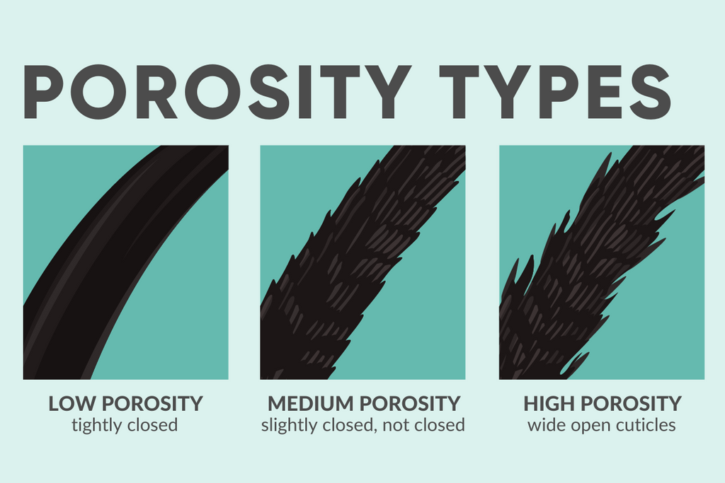 Understanding Hair Porosity A Comprehensive Guide Revair