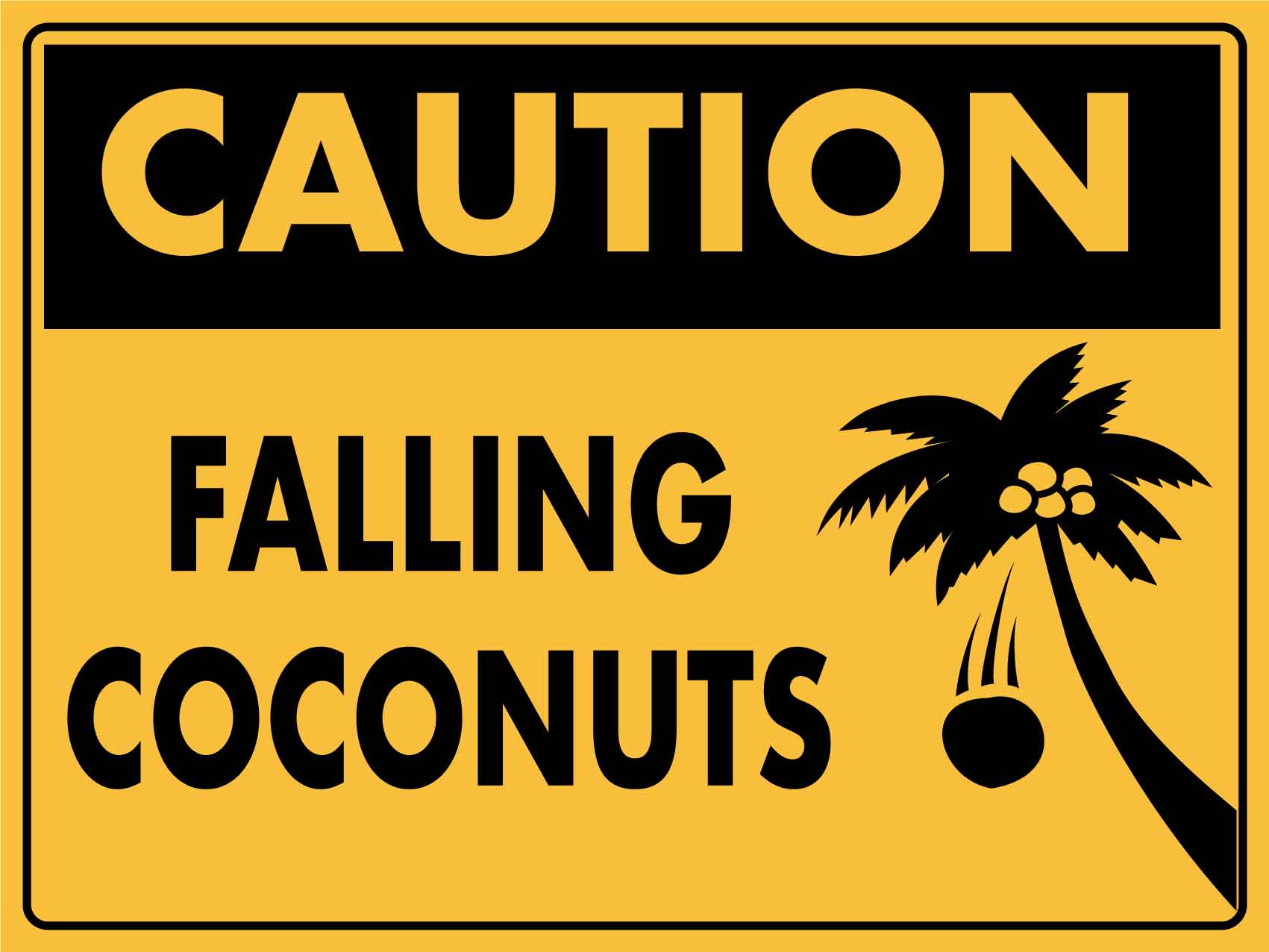 Caution Falling Coconuts Sign New Signs