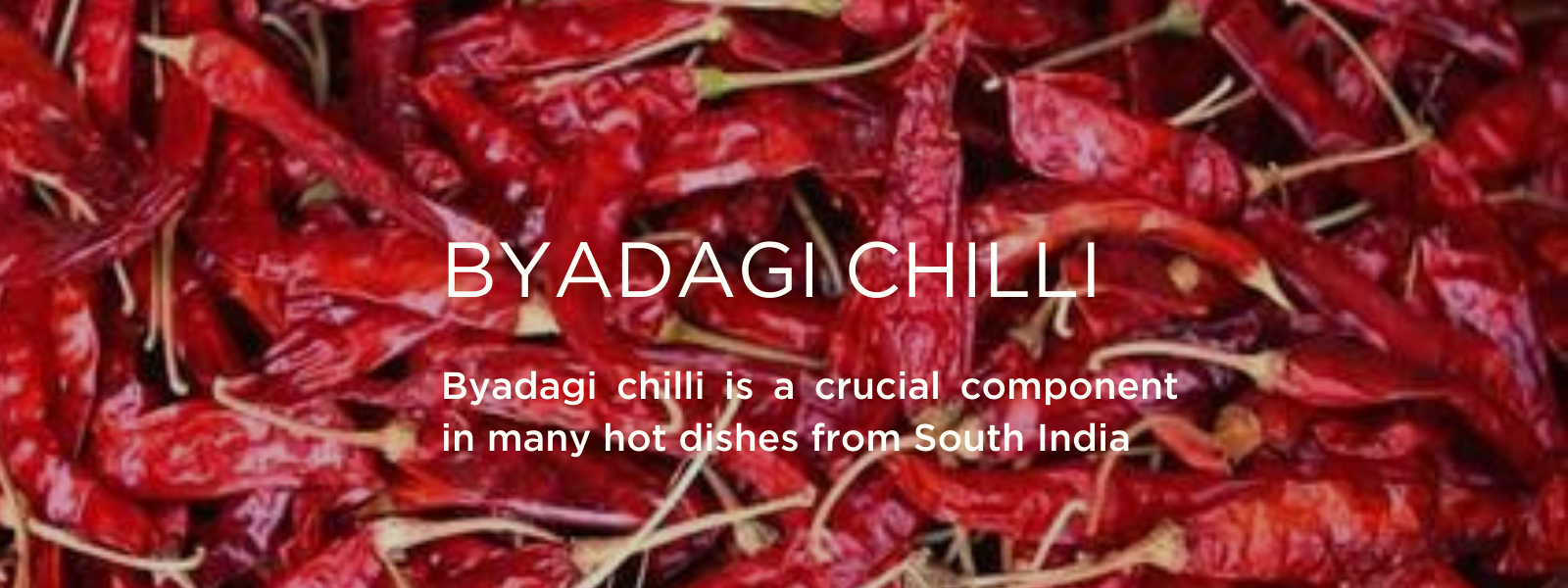 Byadagi Chilli Health Benefits Uses And Important Facts