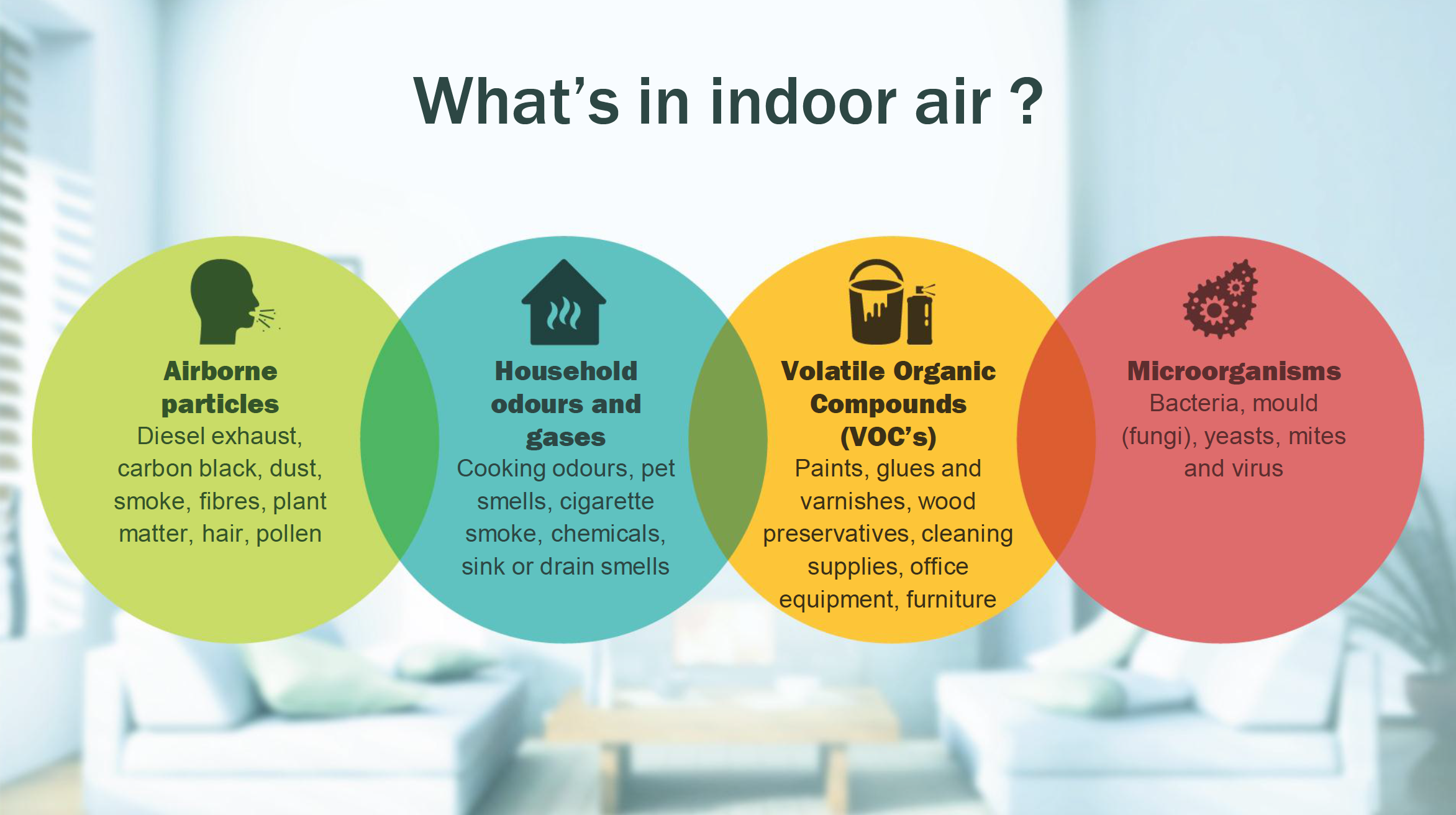 Indoor Air Quality Infographic