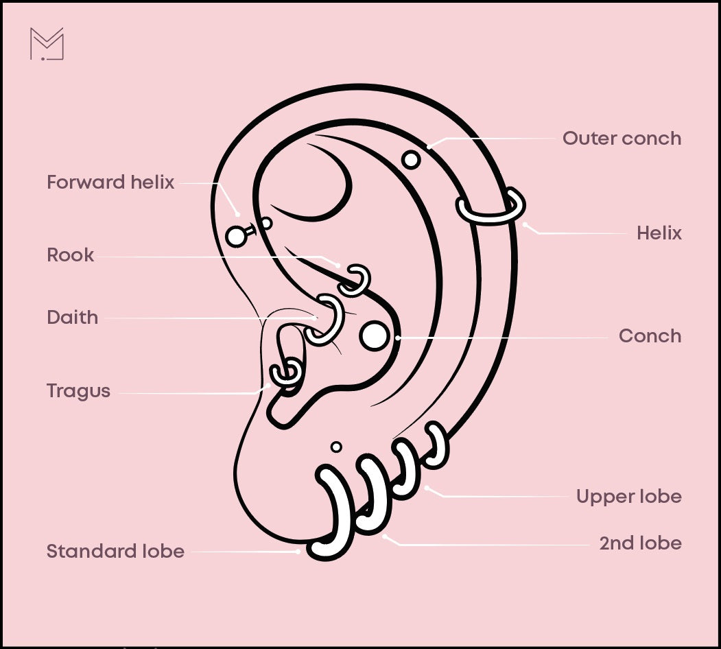 The Ultimate Piercing Size Guide Types Sizes And Fitting Musemond