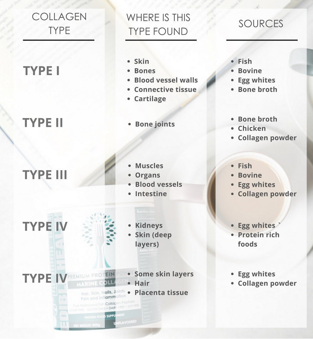 Collagen Types Chart