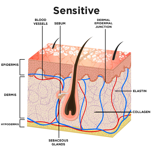 Skin Science Skinkraft