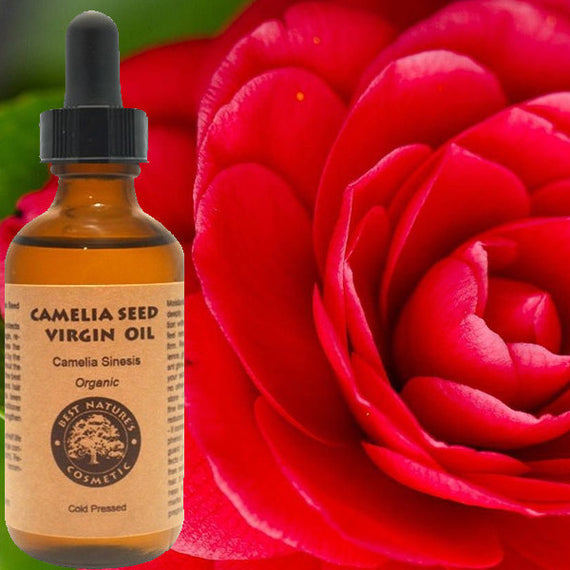 Camellia Seed Oil Organic Best Natures