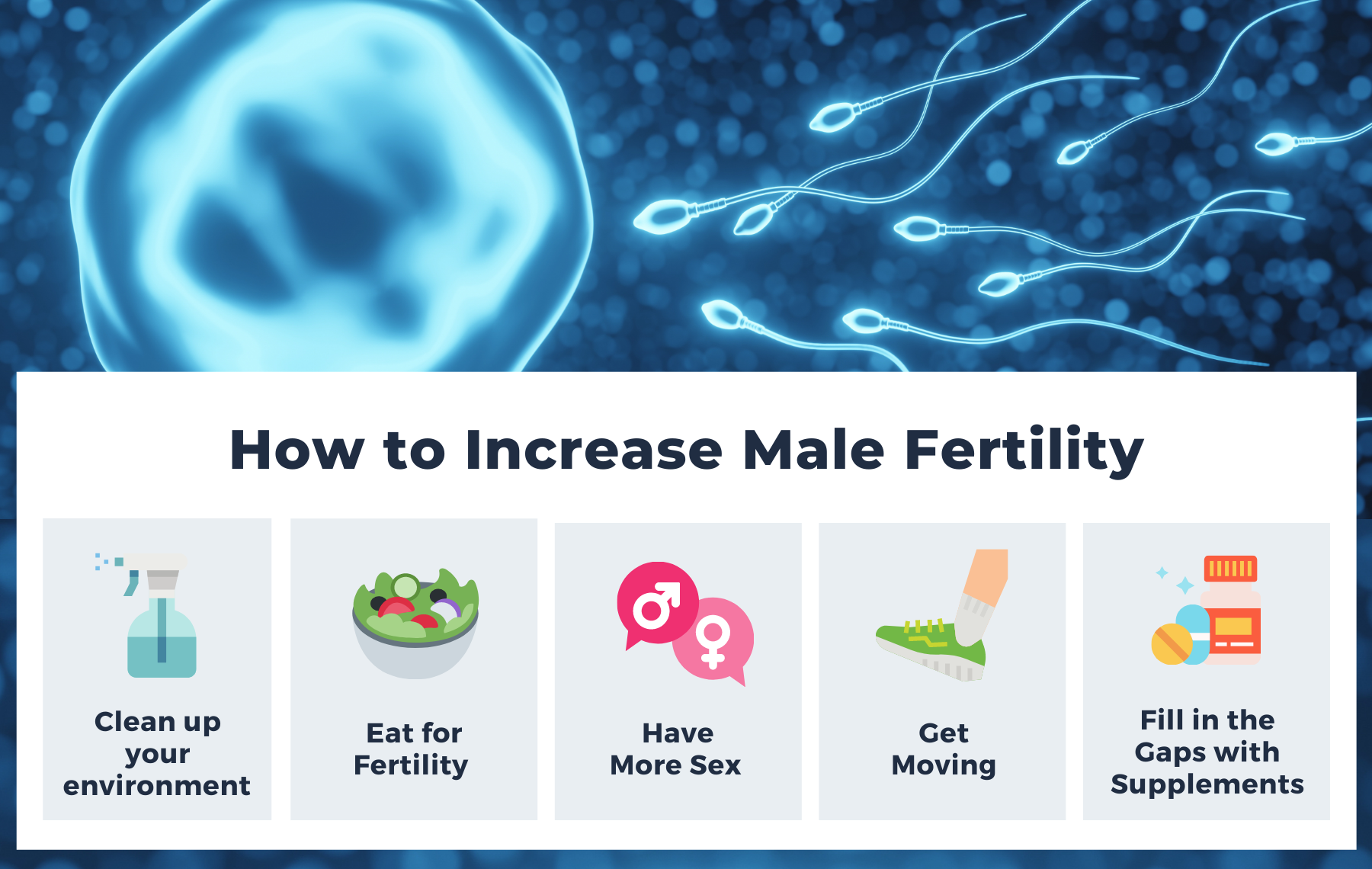 How To Boost Male Fertility Natural Remedies My Emerald Health