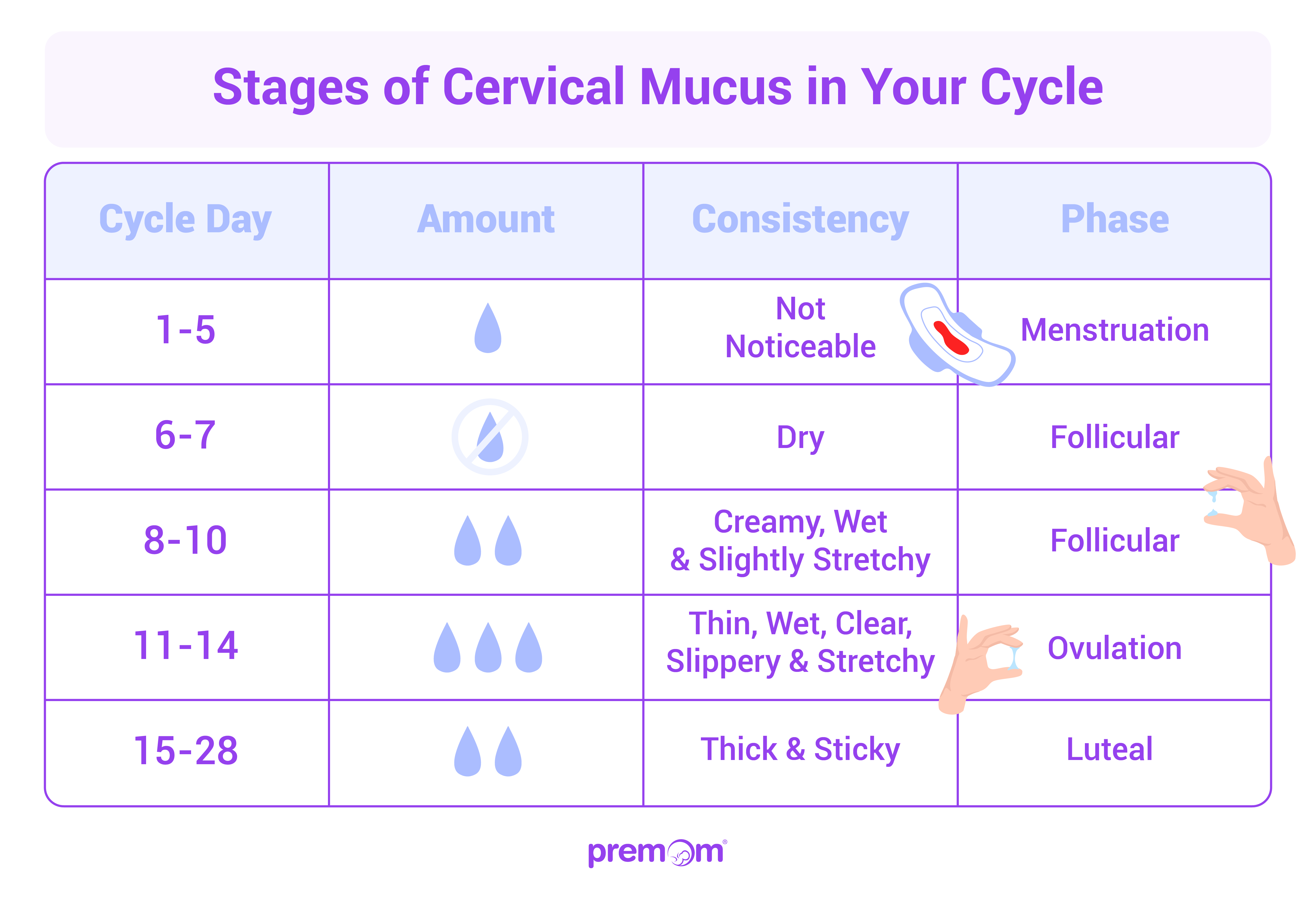 Egg White Cervical Mucus After Ovulation Pregnant Or Not