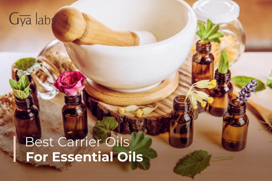 Discover The Best Carrier Oils For Essential Oils Enhance Your Experience