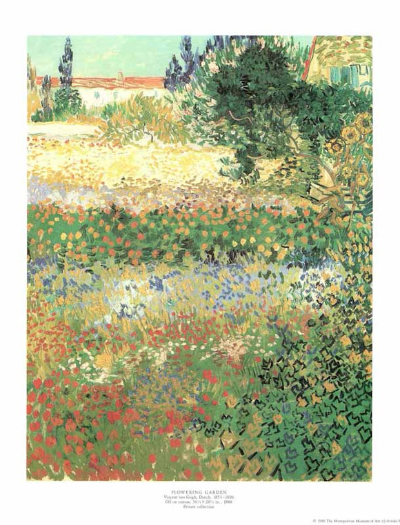 Flowering Garden 1888 By Vincent Van Gogh 11 X 14 Inches Art Print