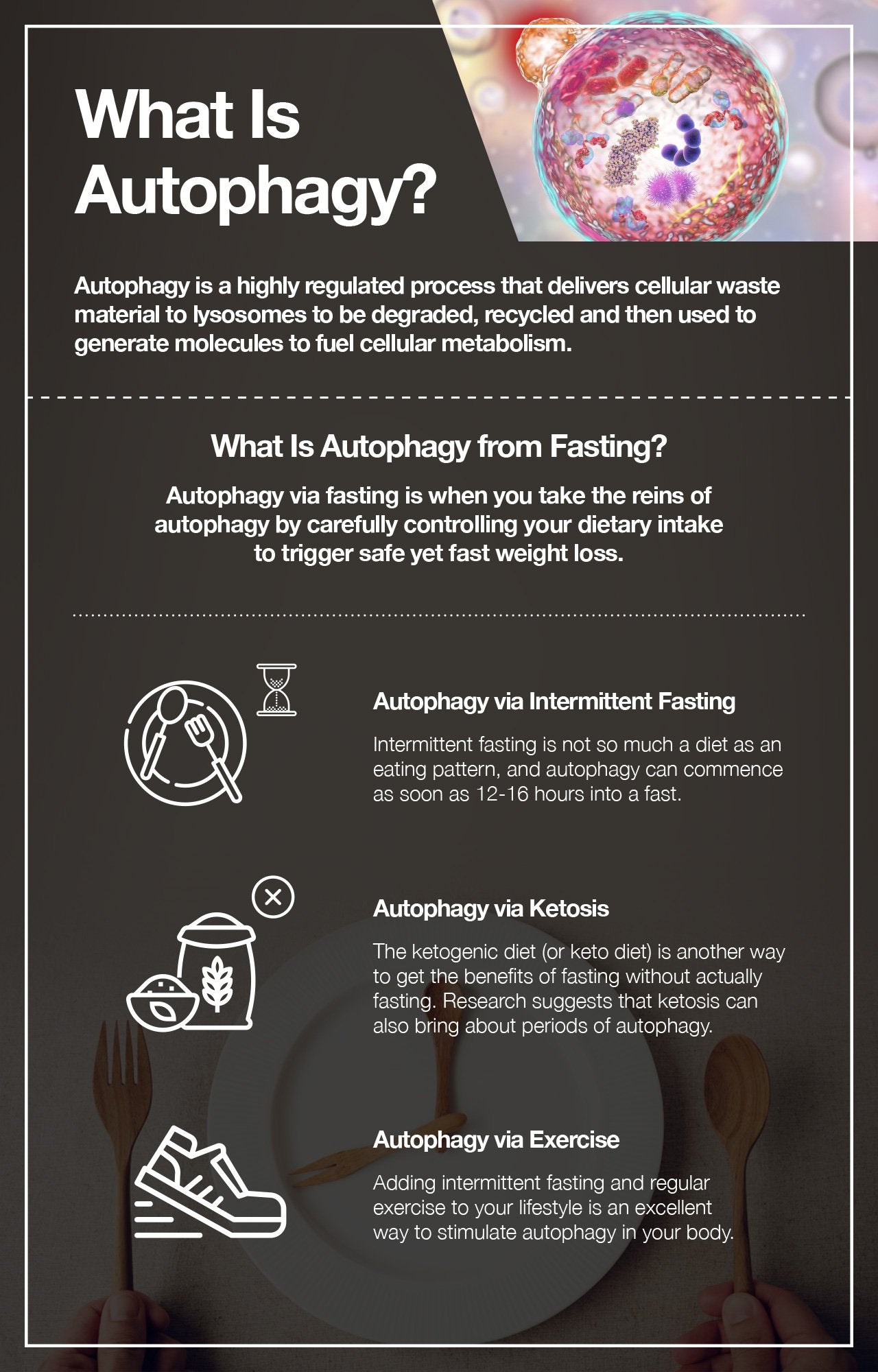 Autophagy Fasting