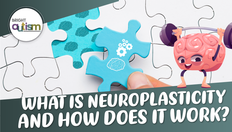 What Is Neuroplasticity And How Does It Work