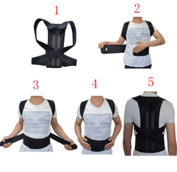 Flexguard Support Back Brace Posture Corrector Lower Back Brace By