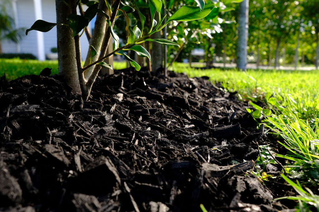 We Talk To Claire From Sculpt About The Benefits Of Mulch