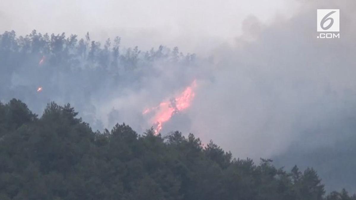 Video Kebakaran Di Lereng Gunung Lawu Semakin Meluas Regional