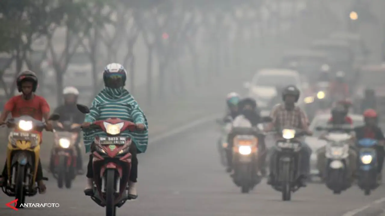 Kabut Asap Di Sumbar Makin Pekat Jarak Pandang 100 800 Meter News