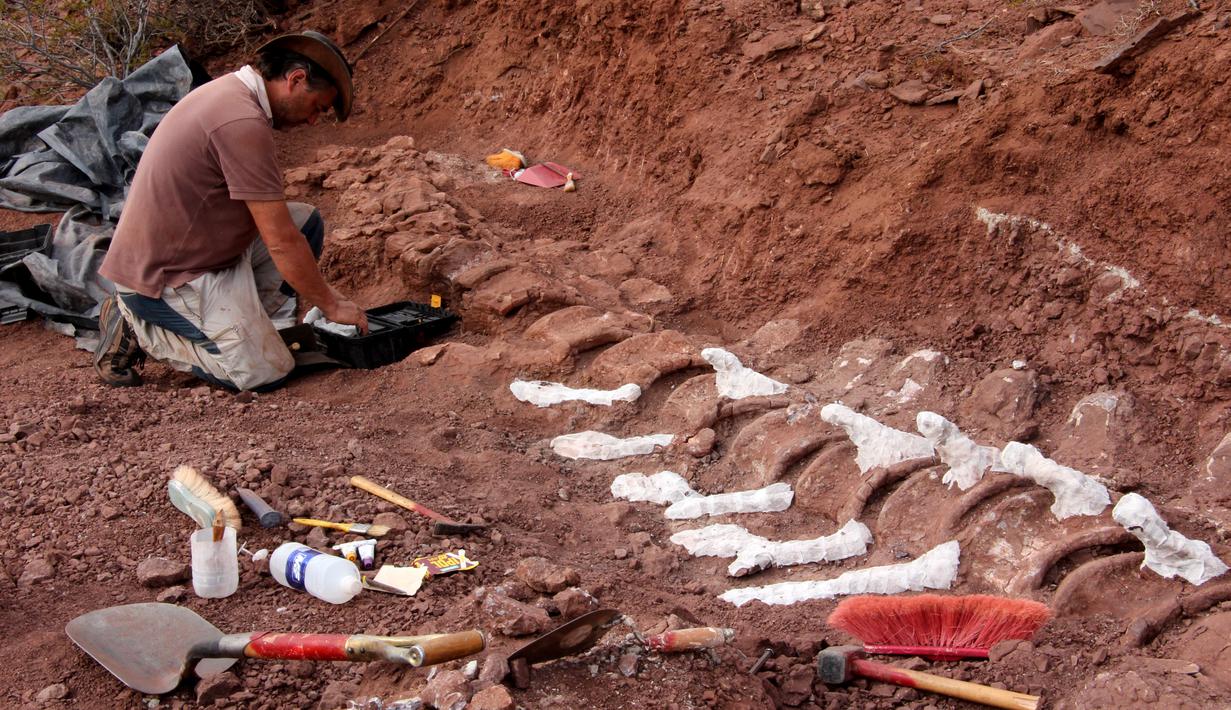 Foto Fosil Dinosaurus Terbesar Berusia 98 Juta Tahun Ditemukan Di