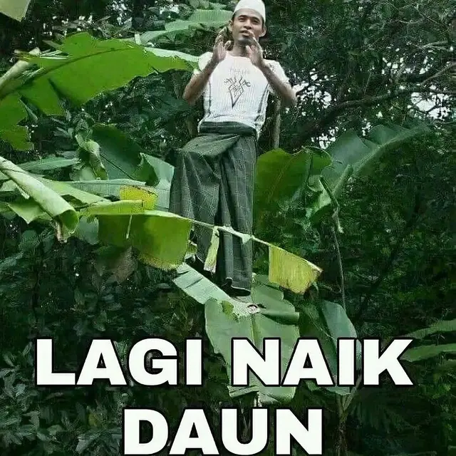 10 Meme Benar Tapi Salah Ini Bikin Geleng Kepala Kocak Banget Hot