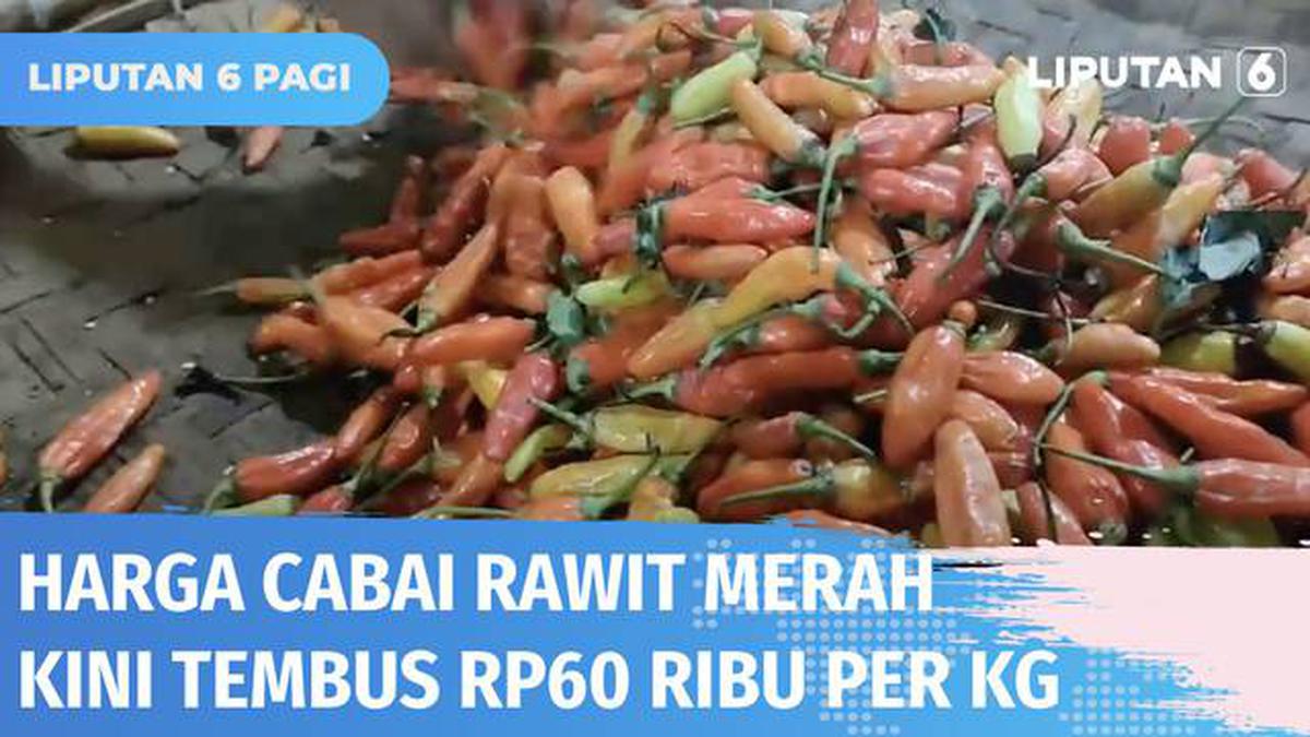 Video Harga Cabai Rawit Merah Makin Pedas Kini Tembus Rp 60 Ribu Per