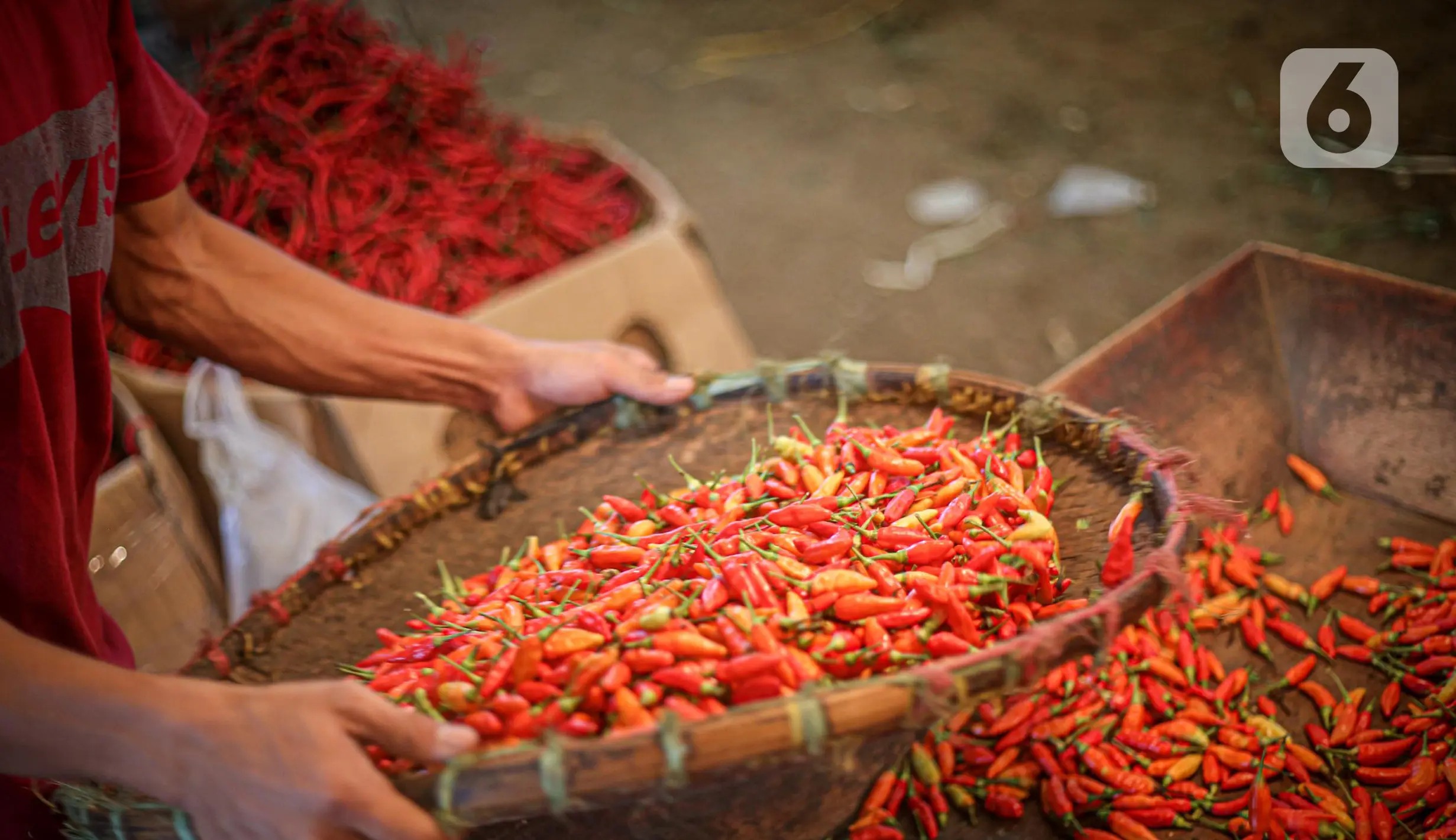 Foto Harga Cabai Rawit Merah Tembus Hingga Rp 120 Ribu Per Kilogram