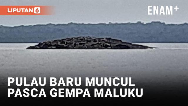 4 Fakta Terkait Fenomena Munculnya Pulau Baru Di Tanimbar Usai Gempa