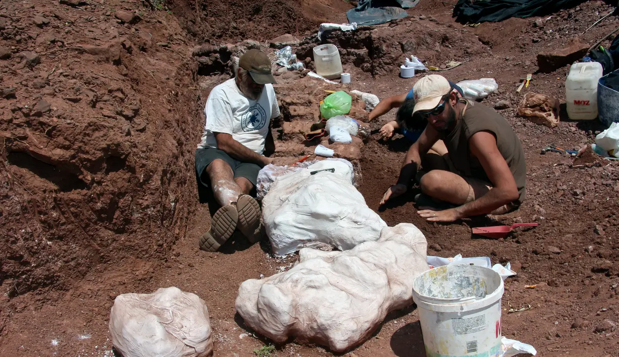 Foto Fosil Dinosaurus Terbesar Berusia 98 Juta Tahun Ditemukan Di