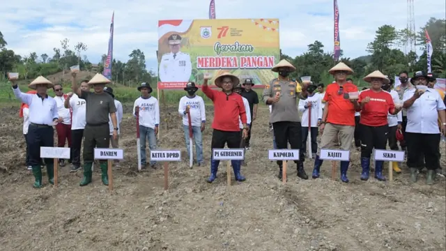 Tanam Jagung Dan Kedelai Pemprov Sulbar Canangkan Gerakan Merdeka