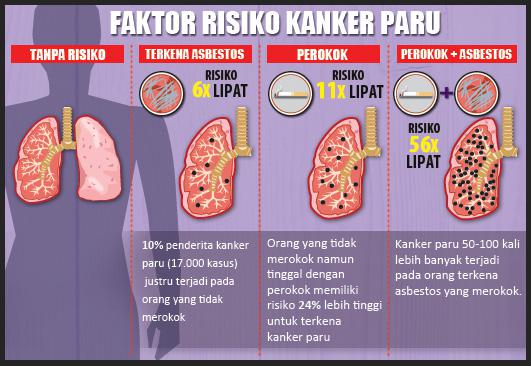 Kanker Paru Kenali Penyebabnya Sebelum Jadi Korbannya Beauty