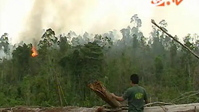 Kabut Asap Di Dharmasraya Semakin Pekat News