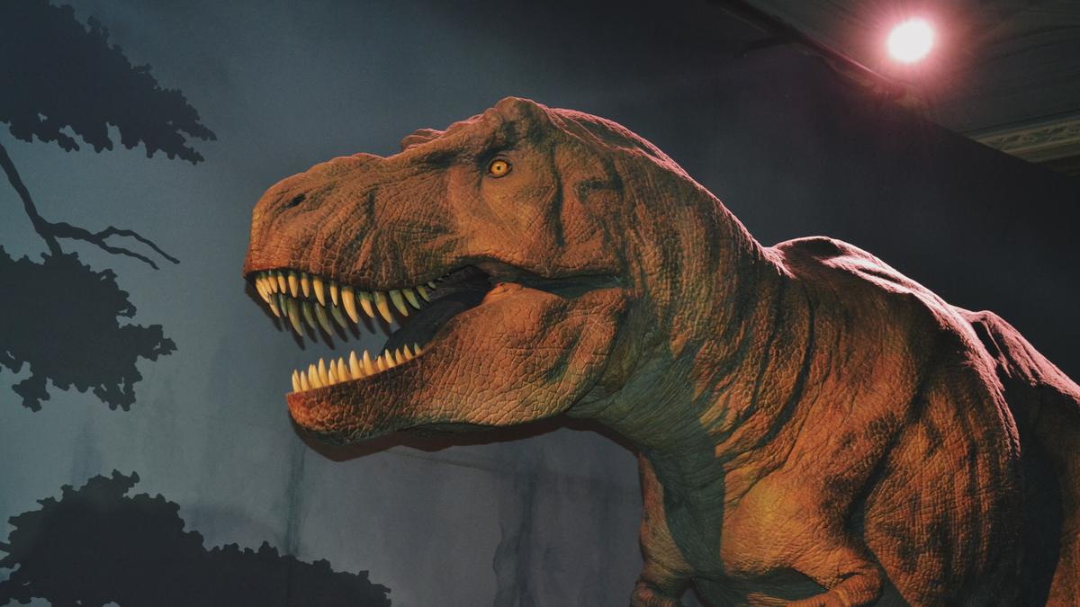 Fosil Dinosaurus Karnivora Terbesar Ditemukan Di Inggris Global