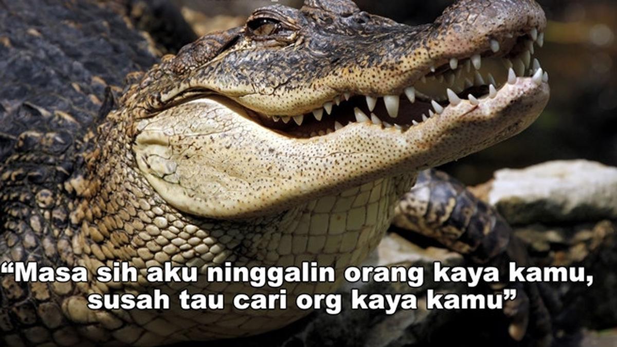 6 Meme Modus Buaya Darat Ala Netizen Ini Sukses Bikin Geregetan Hot