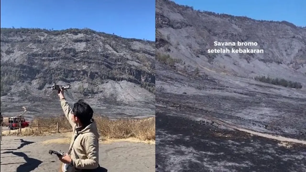 6 Potret Savana Bromo Dilihat Dari Drone Setelah Kebakaran Tampak