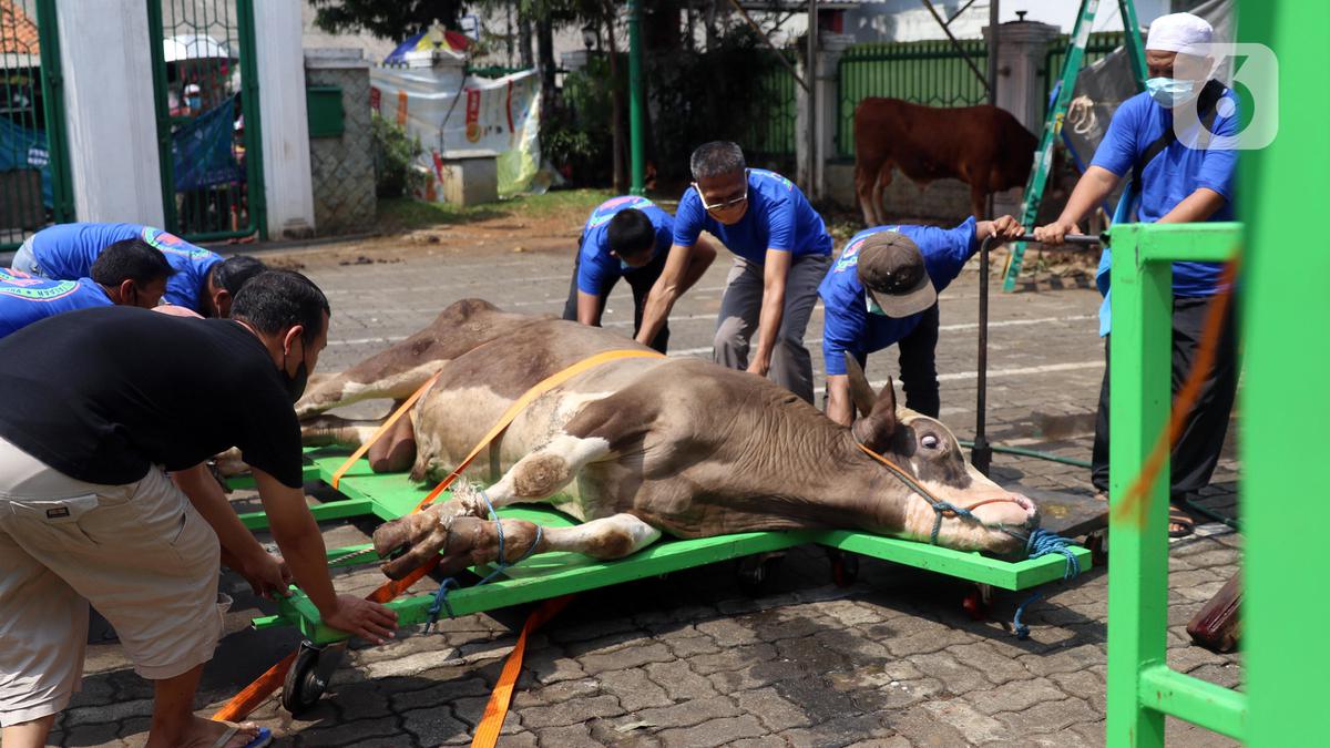 Foto Pemotongan Hewan Kurban Di Hari Raya Idul Adha Foto