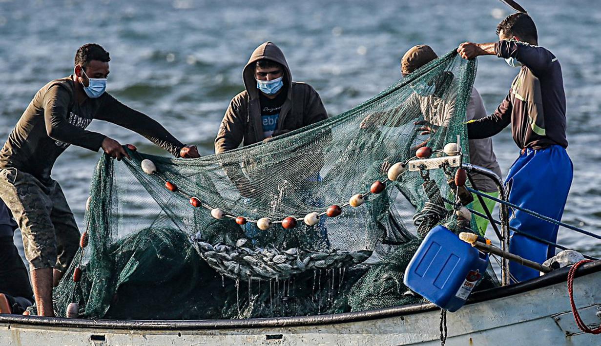 Tangkap Ikan Laut Dalam Adrian Mitchell